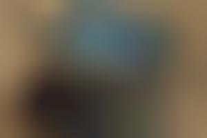 Powerful Shatterproof Tablets : cheap tablet