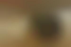 Urban-Only Electric Vehicles : city rover