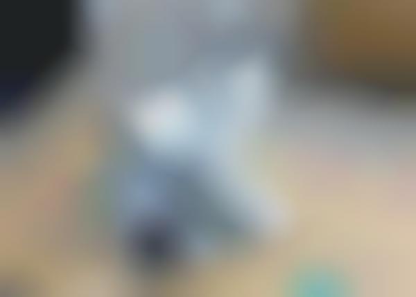 Optical Open-Source Telescopes : tracking telescope