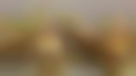 International Burger Menus : World Burger Tour