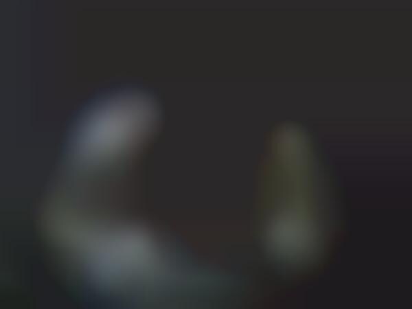 Underwater Music Performances : water band