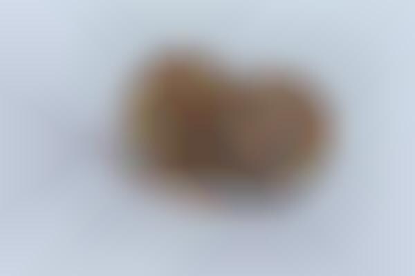 Lifestyle-Tracking Earrings : information tracking earrings