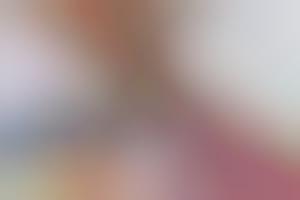 Paint-Inspired Embroidered Fashion : Olya Glagoleva