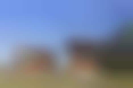 Bird-Watching Pavilions : bird-watching