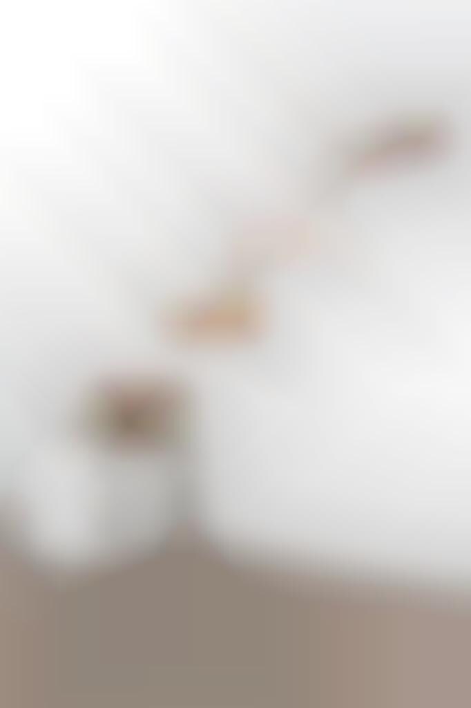 Top 100 Eco Ideas in June