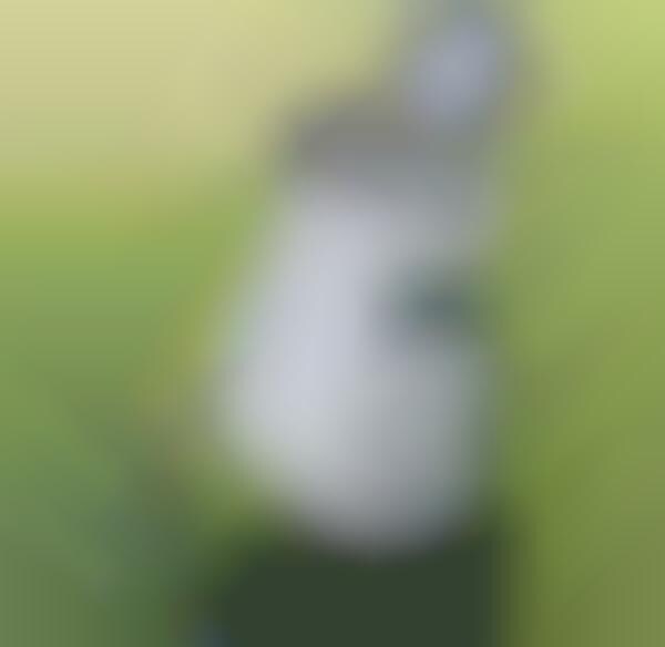 Discreet Golfer Drink Coolers : portable cooler