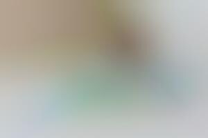 Portable Toothpaste Pods : poppits