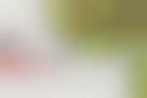 Balanced Fast Food Menus : Tim Hortons Fresh Salads