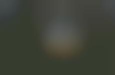 Open-Wall Wooden Cottages : wooden cottage