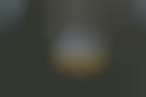 Open-Wall Wooden Cottages : wooden cottage