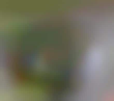 Floating Fish Observatories : fish observatory