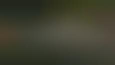 Temporary Seating Installations : temporary seating