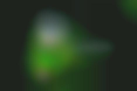 Camera Beer Caps : Beck's beer bottle