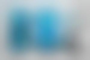 Spine-Supporting Backpacks : ergonomic backpack