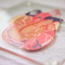 Stackable Anatomy Coasters : heart anatomy