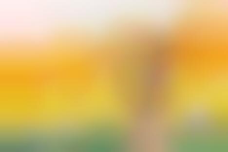 Custom Greeting Art Installations : Custom Greeting