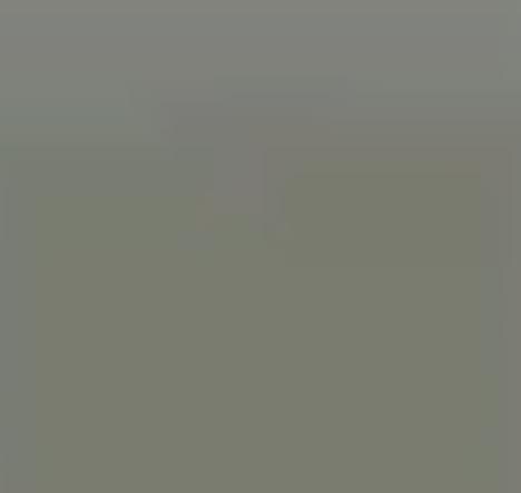 Elegant Animal Rings : animal ring