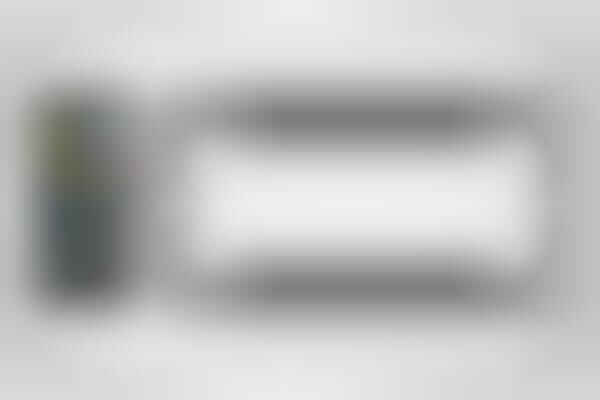 Smartphone Auto Upgrades : Pearl RearVision Backup Camera