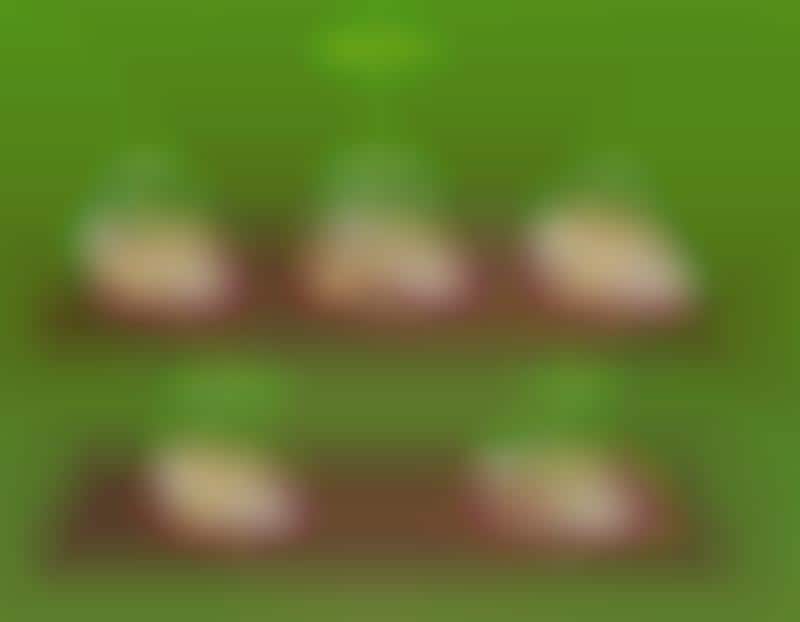 40 Food Customization Innovations