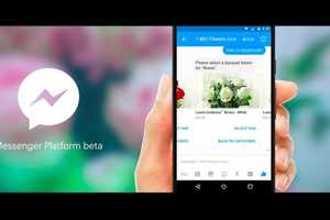 Flower-Ordering Bots : ordering flowers