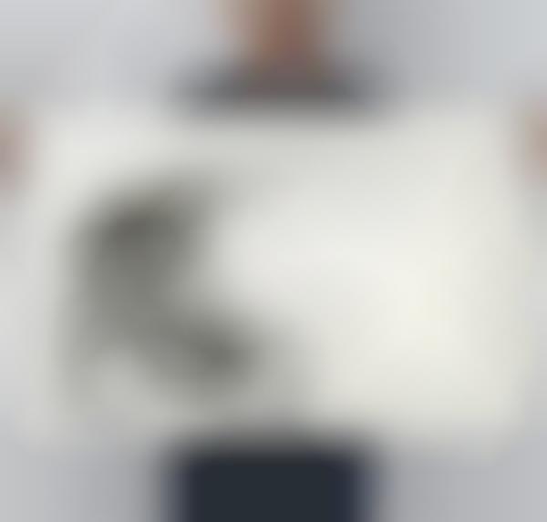 Metaphorical World Maps : world maps