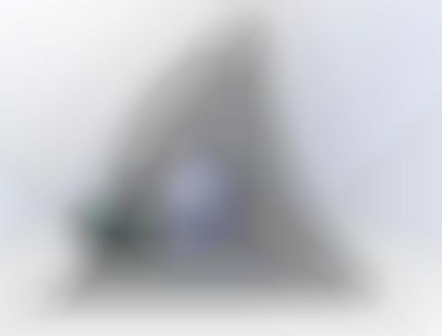 100 Shark-Inspired Items