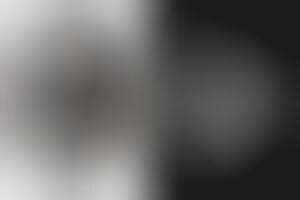 Anti-Paparazzi Scarves : anti-flash