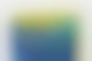 Individually Wrapped Cheese Cubes : blue cheese cubes