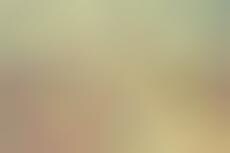 Politically Fueled Dating Apps : better together app