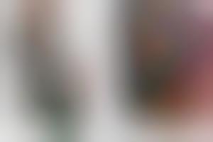 Collaged Model Portraits : Cut and Paste