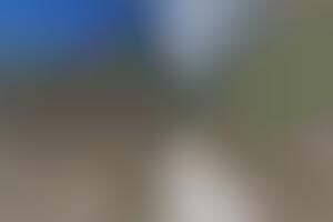 Dance-Encouraging Installations : dance installation