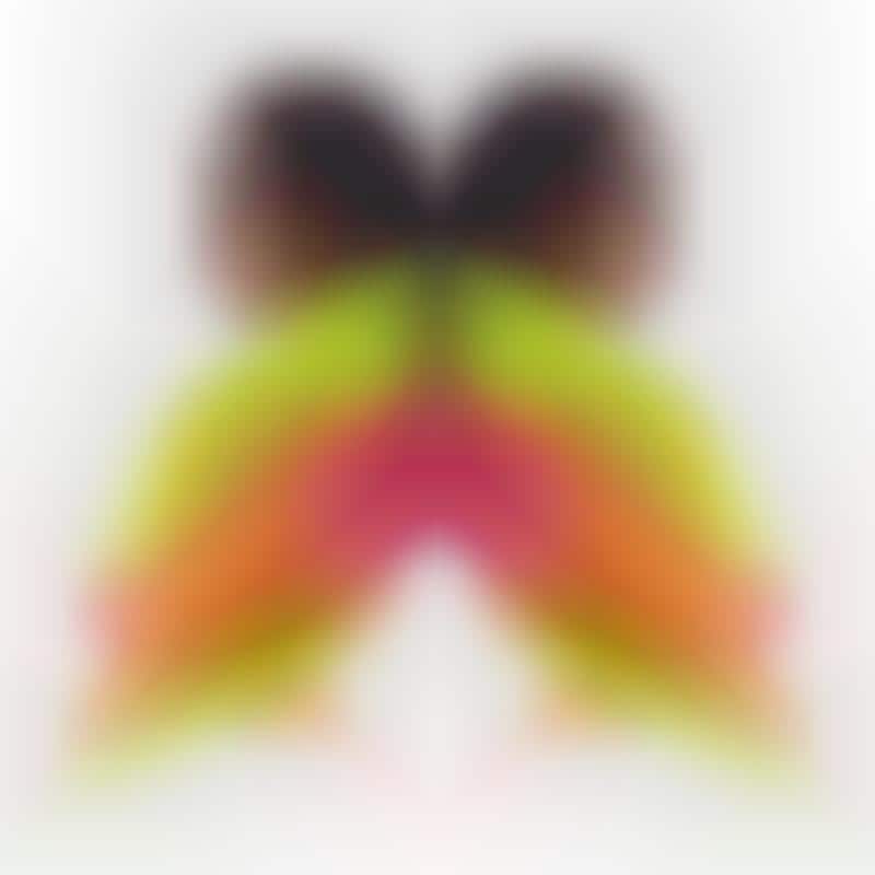 25 Olympic Apparel Designs