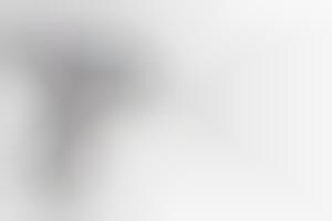 Heart-Surgery Harpoons : surgical device