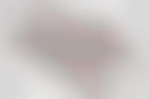 Rotating Rotisserie Barbecues : Rotisserie Barbecue