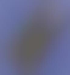 Surveillance-Blocking iPhone Cases : introspection engine