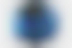 Portable Solar Outdoor Lighting: The MiniWiz SolarBulb Makes Any Bottle ...