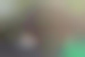 Braided Bonding: Close Companionship Via Self-Inflicted Conjoined ...