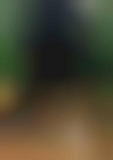 Poo as a Present: PoopSenders.com Lets You Ship From Species of Your Choice