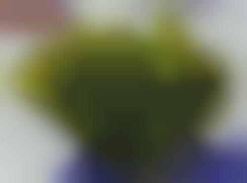 22 Edible Food Containers