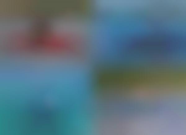 Versatile Portable Watercrafts : kayacat