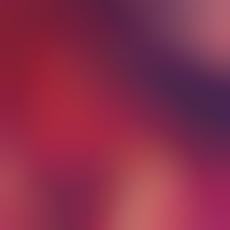 Paper Flower Murals : flower murals