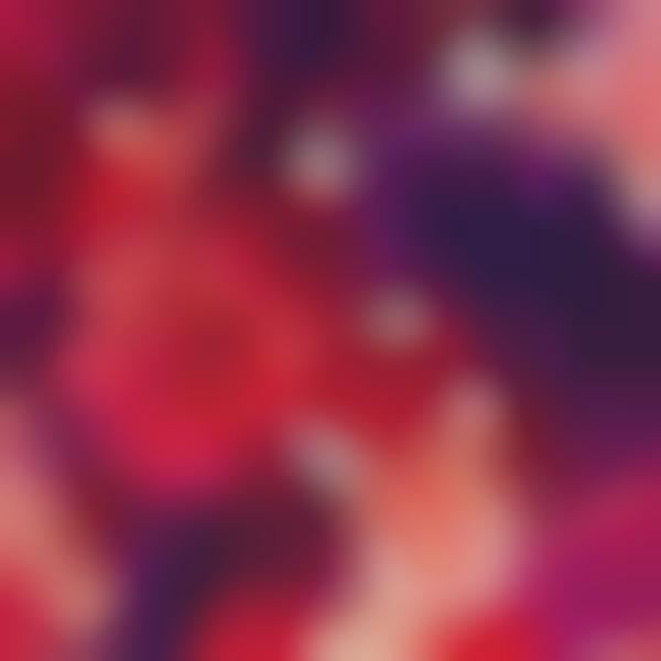 Paper Flower Murals : flower murals