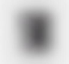 Boosting Cognitive Powders : Natural Brain Stimulator