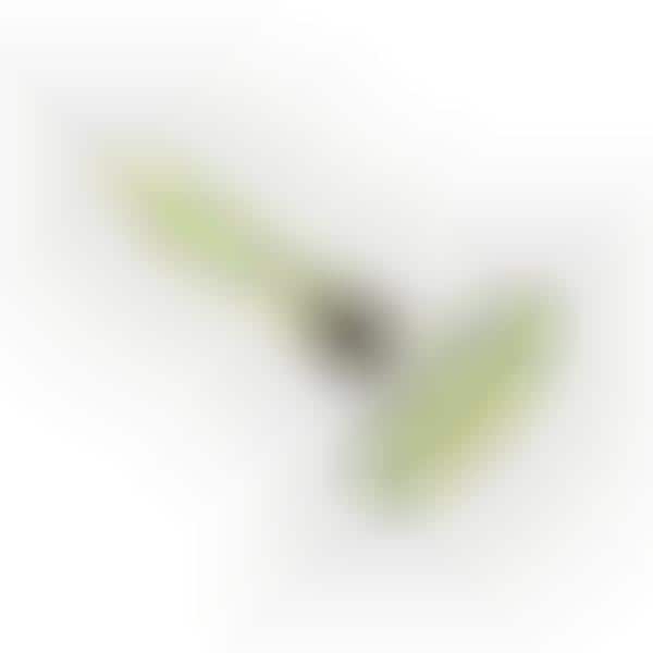 Jade Skin Rollers : Skin Roller