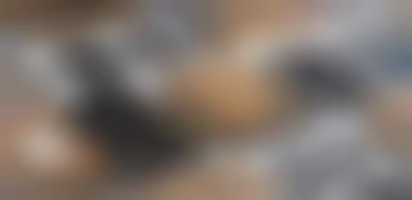 Hybrid Accessory Shipping Boxes : case box