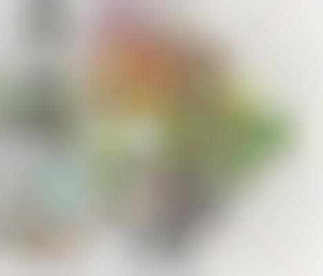 Nutritionally Complete Supplements : Ample Meal