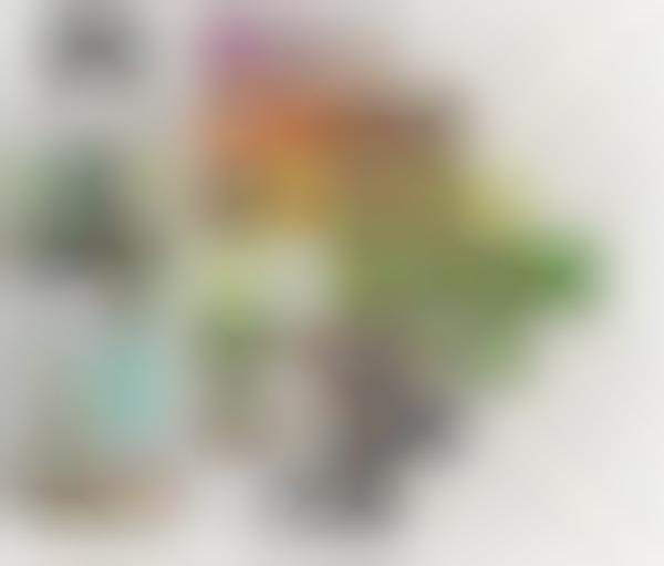 Nutritionally Complete Supplements : Ample Meal