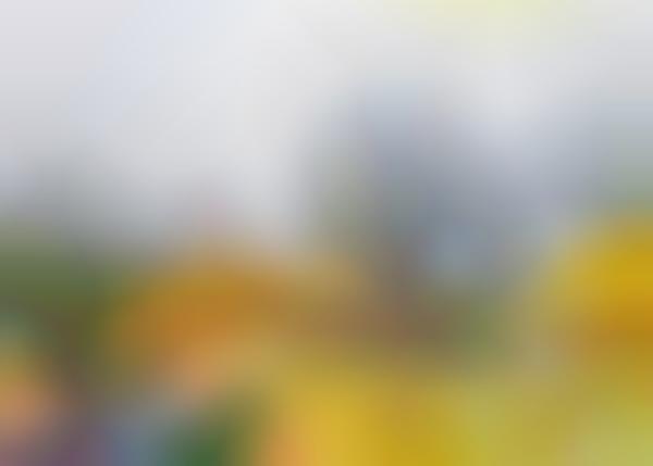 Inflatable Park Pavilions : park pavilion