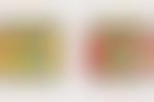 Exotic Organic Coconut Jams : fruit jam