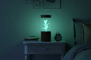 Bioluminescence Night Lights : lighting solution
